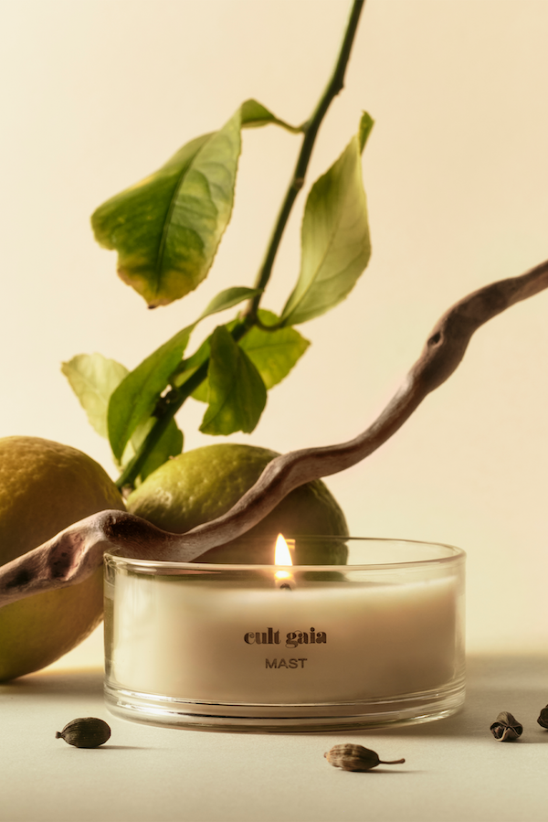 8.5 oz CANDLE REFILL – CULT GAIA