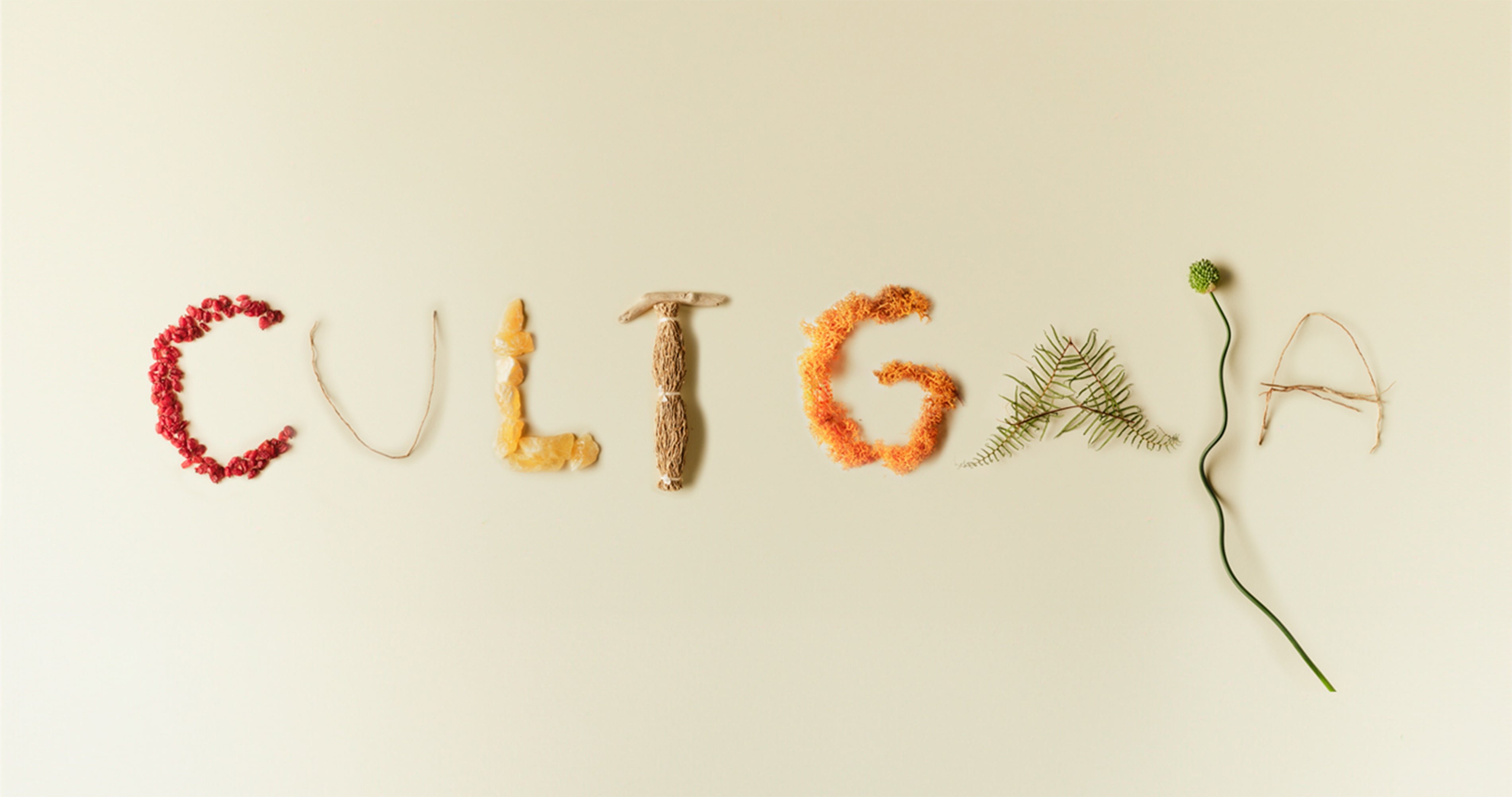 Shop Cult Gaia | Official Site | Take 10% Off Your First Order‎ – CULT GAIA